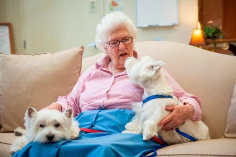 Strabane Woods of Washington | SeniorCare Network